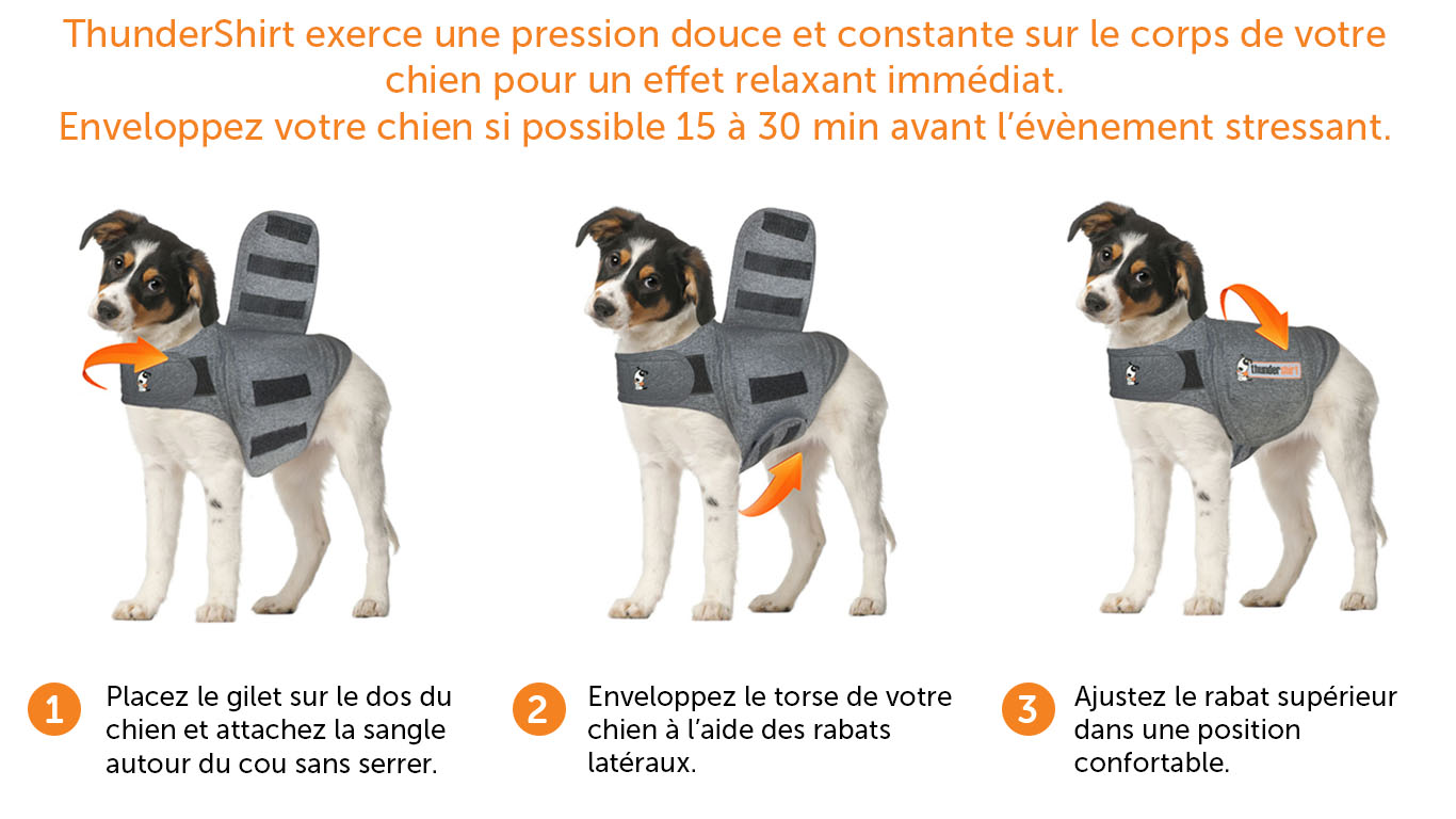 ThunderShirt : Gilet relaxant pour chien | Anti-stress chien